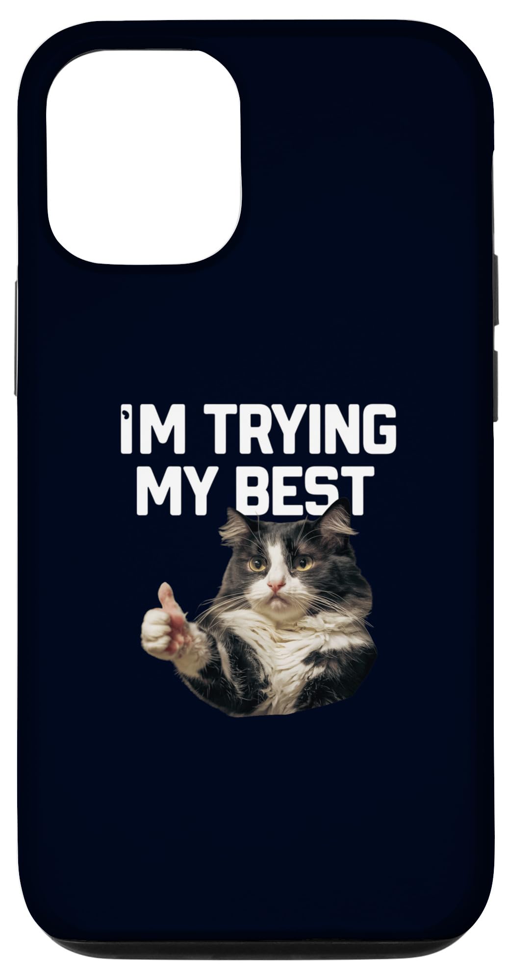 Funny Cat Person Memes