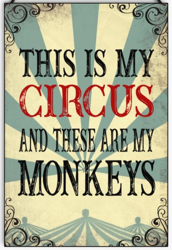 Amazon.com: This Is My Circus and These Are My Monkeys Funny Aluminum ...