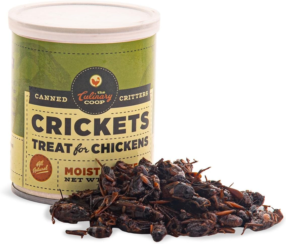 Amazon.com: Fluker's Culinary Coop Canned Crickets Chicken Treat, All ...