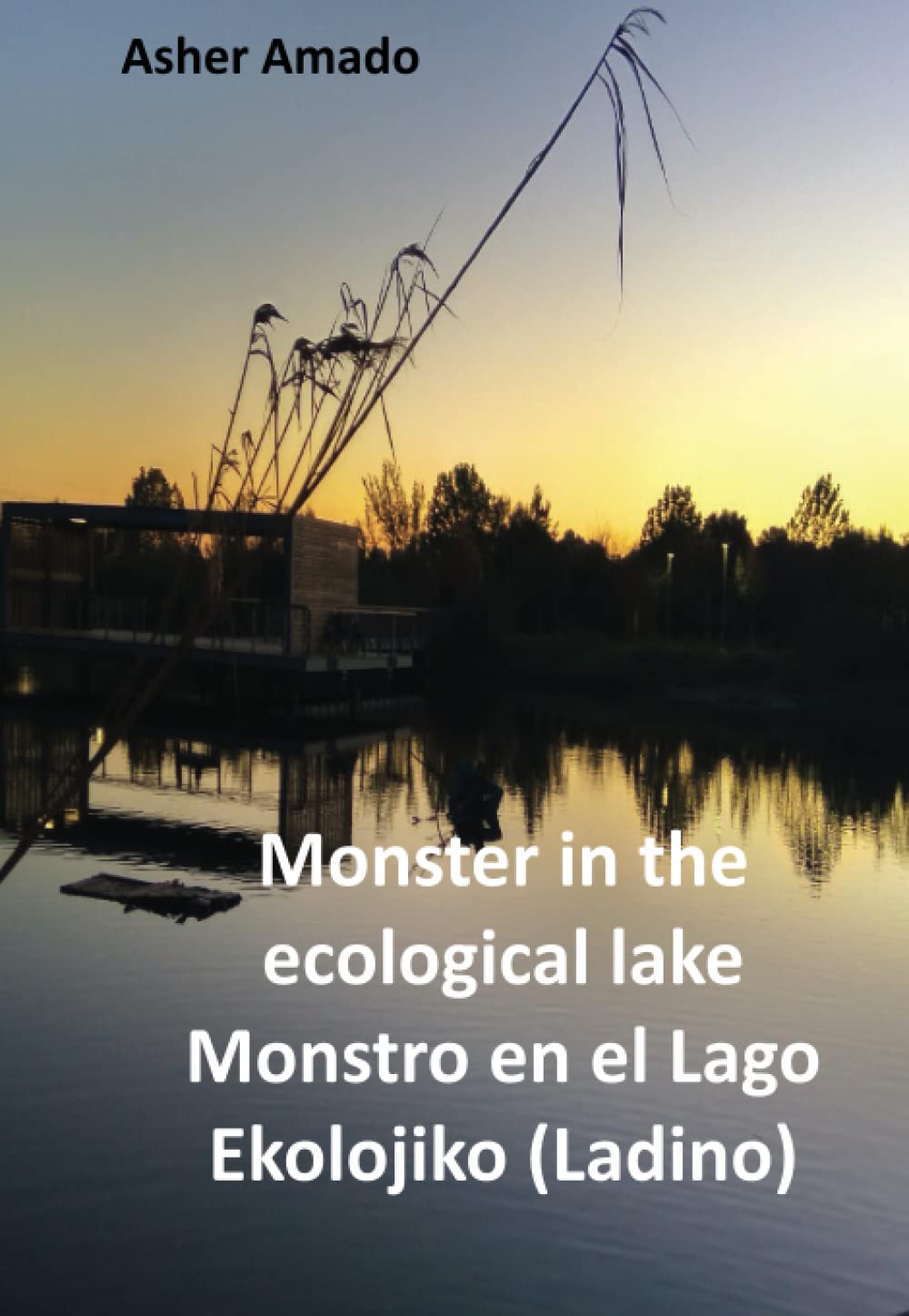 Amazon.com: Monster in the ecological lake: Monstro en el Lago ...