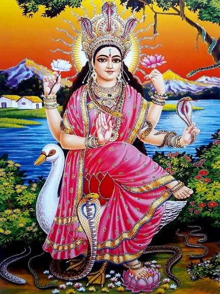 Maa Manasa Devi Full HD Wallpaper for Wall Decoration Home/Office Space ...