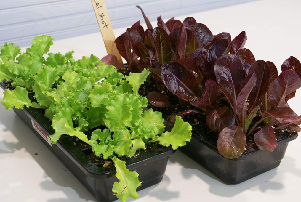 Amazon.com : Hoss 48-Cell Seed Starting Kit | Trays, Domes, Soil ...