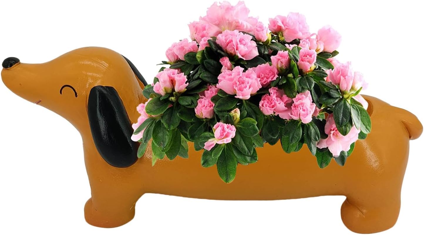 Amazon.com : Biniveil Dog Resin Plant Pot | Dachshund Flower Pot ...