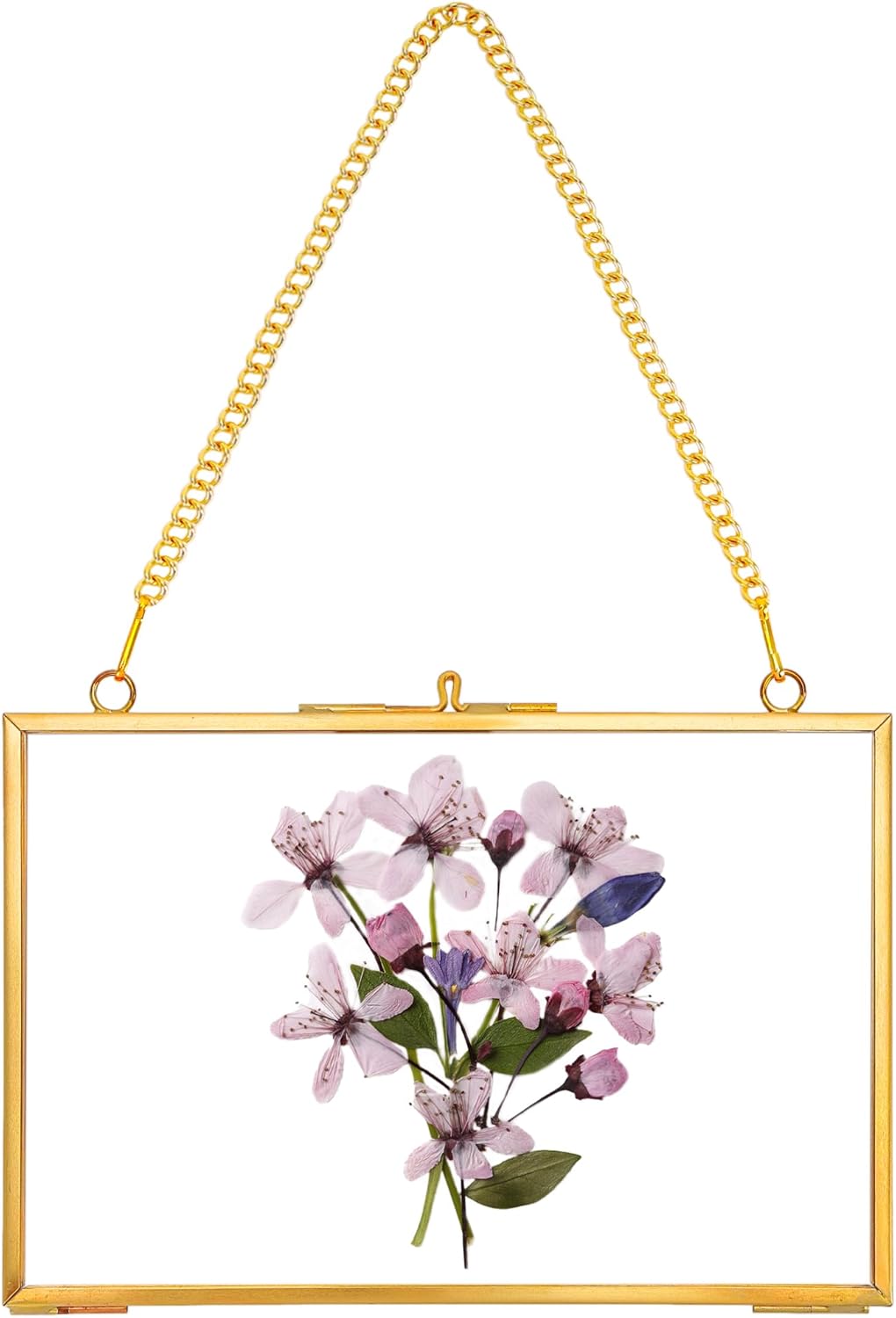 Amazon.com - REDHUGO Hanging Pressed Flower Frame Handmade, Double ...