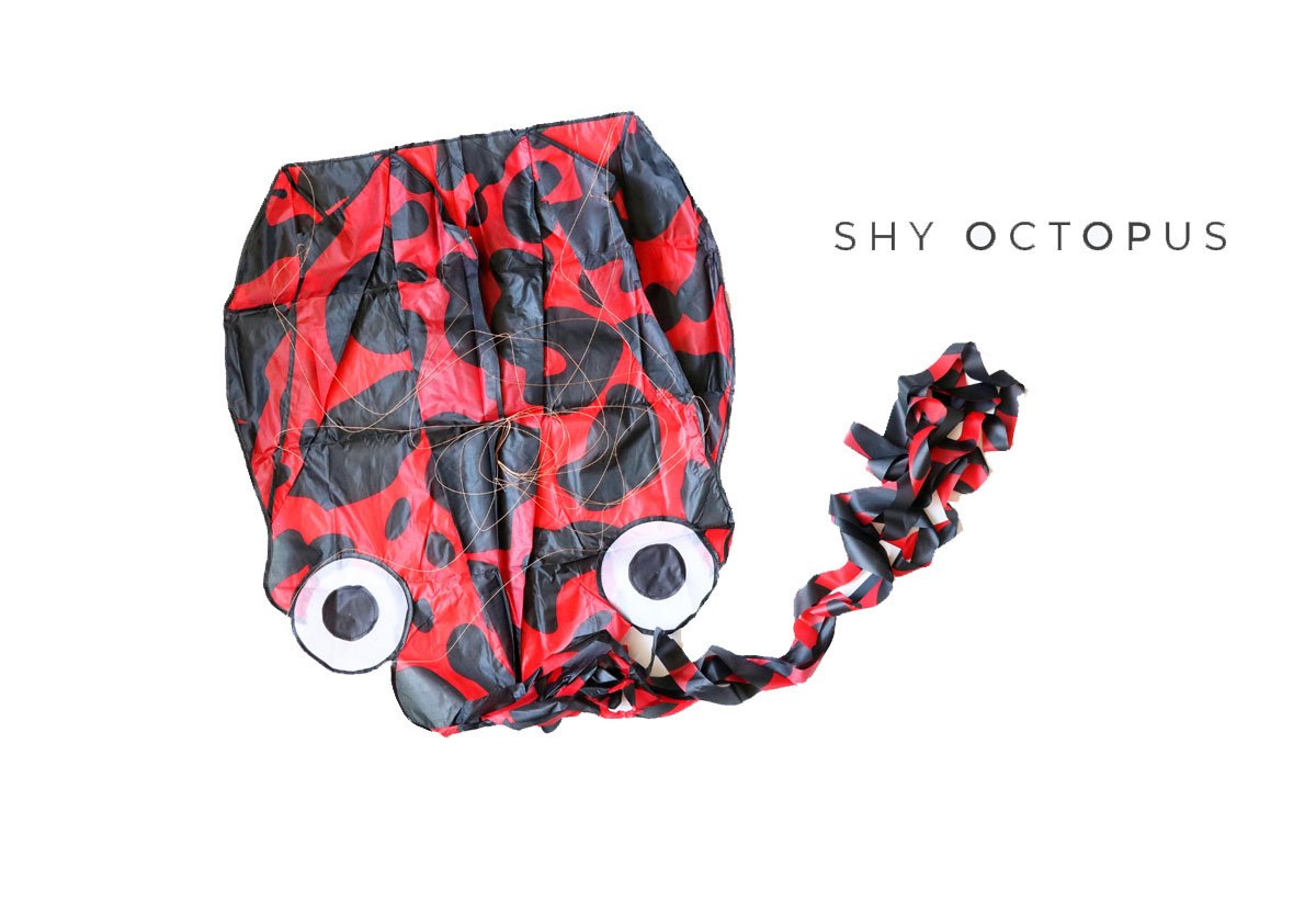 Snapklik.com : Kizh Kite Octopus Large Frameless Soft Parafoil Kites ...