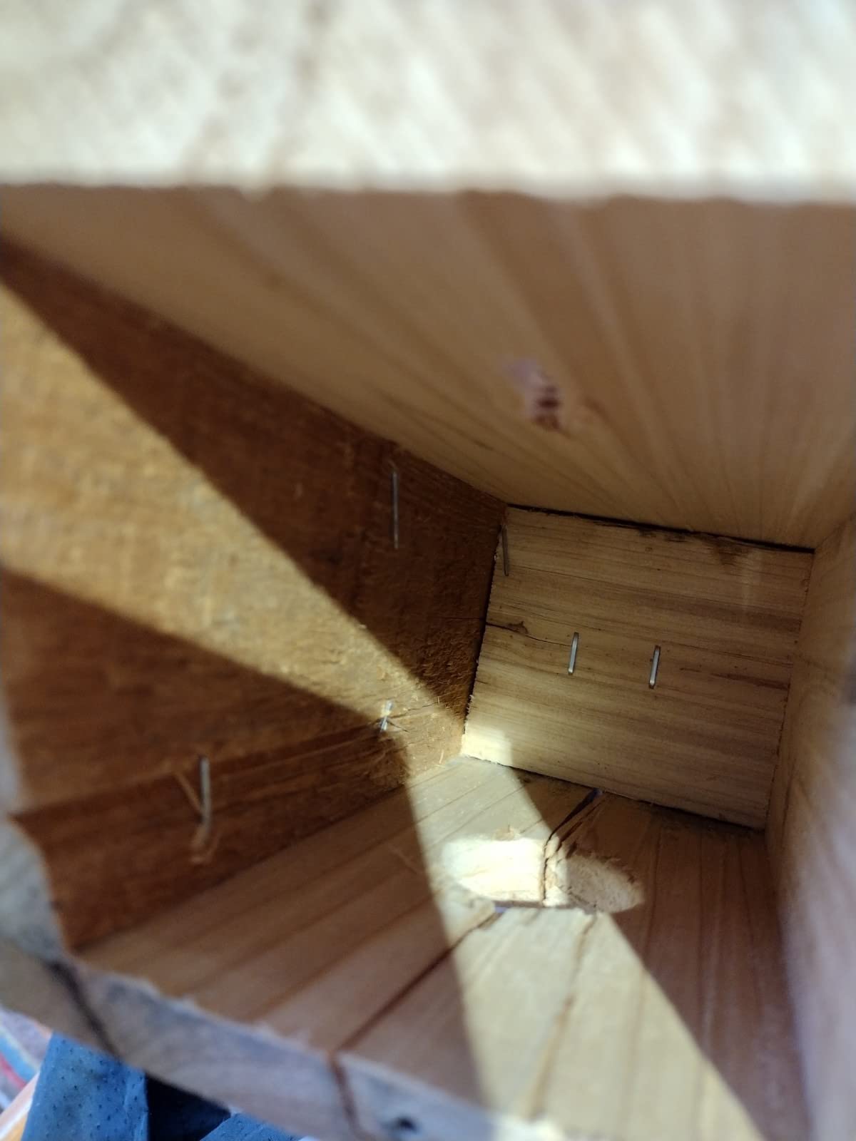 Ram© 4 X WOODEN Wood Bird Feeders Nesting Box Nest Bird House Small ...