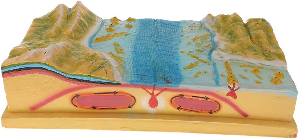 Amazon.com: Scientific Terrain Plate Tectonics Model Kit | Vivid Colors ...