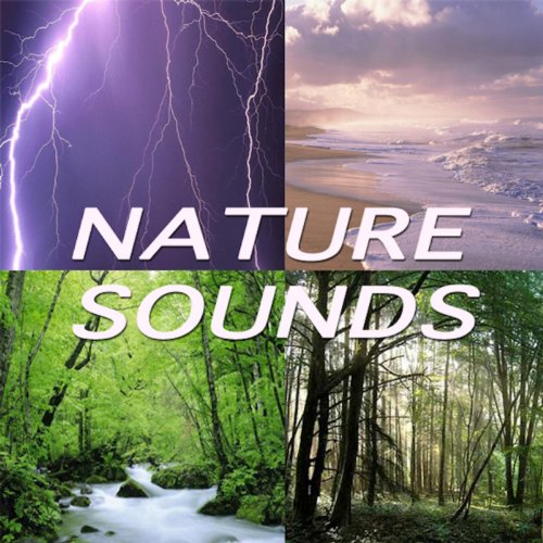 Forest Sounds With Soft Bird Calls song by Nature Sounds from ...