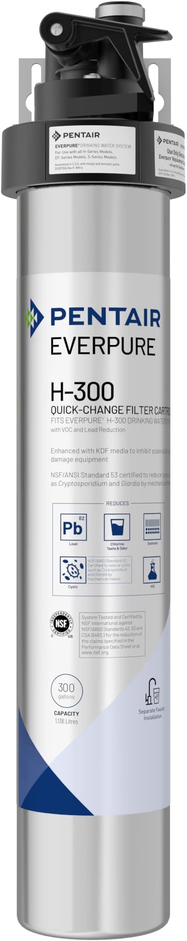 Amazon.com: Pentair Everpure H-300-HSD Quick-Change Filter Cartridge ...