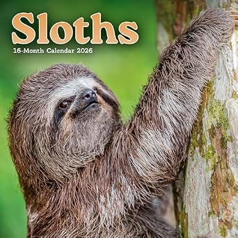 2026 Sloths Mini Wall Calendar: Carousel Calendars: 9781529834185 ...