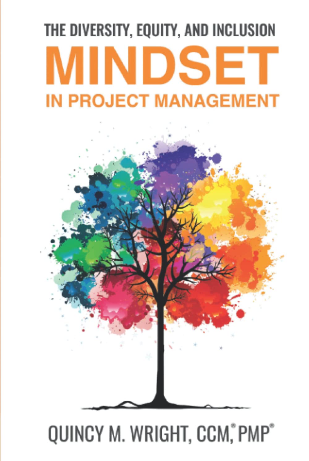 Amazon.com: The Diversity, Equity, and Inclusion Mindset in Project ...