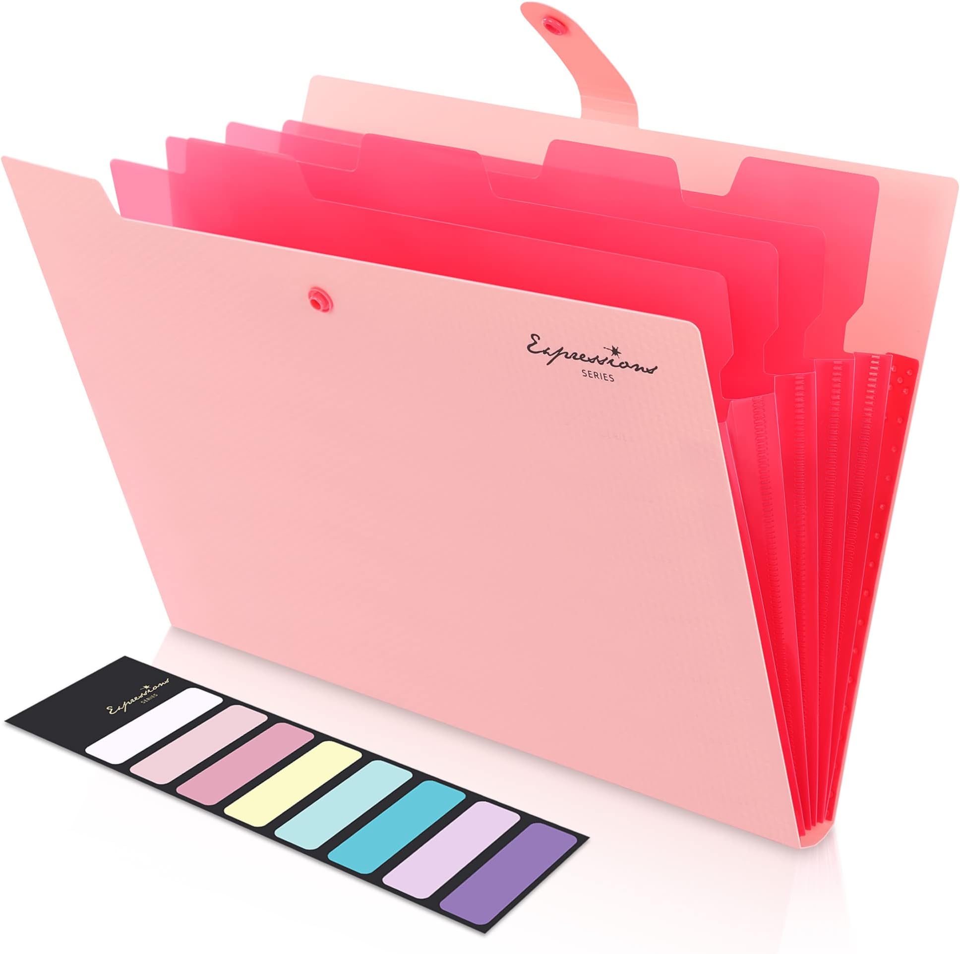 KONVINIT Fächermappe 4 Fächer A4 Ordner Dokumentenmappe PP Erweitern ...