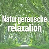 【発売日：2017年07月13日】・製造元:Natural Living 10