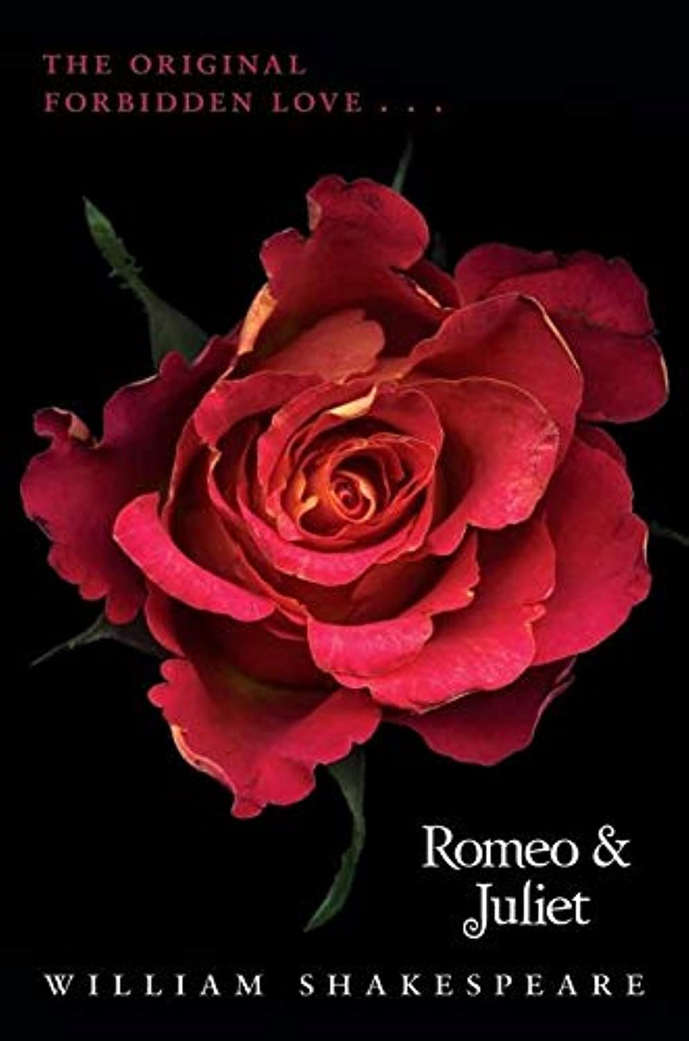 Romeo and Juliet (Teen Classics): Shakespeare, William: 9780061965494 ...