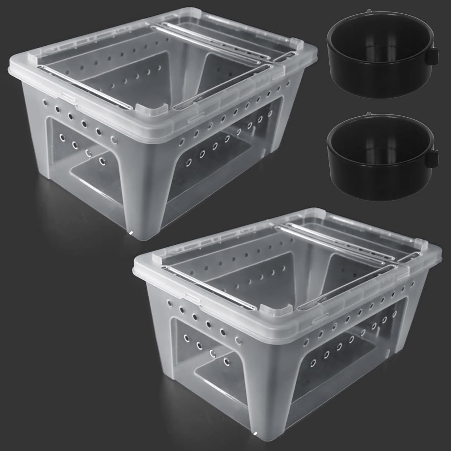 Amazon.com : 2 PCS Reptile Feeding Box Lizard Tarantula Habitat Cage ...