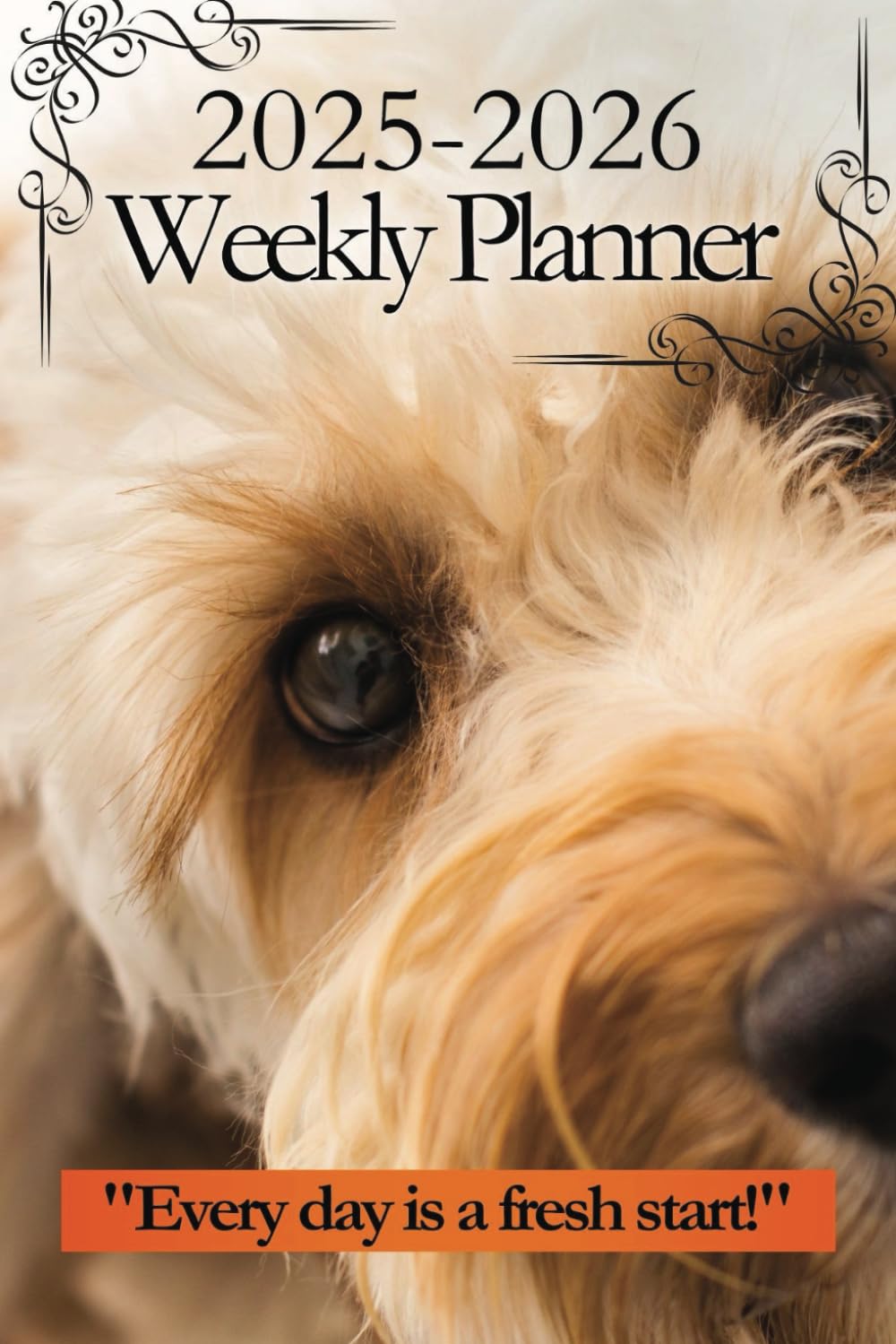 Amazon.com: 2025 2026 Labradoodle Calendar and Planner: Williams ...