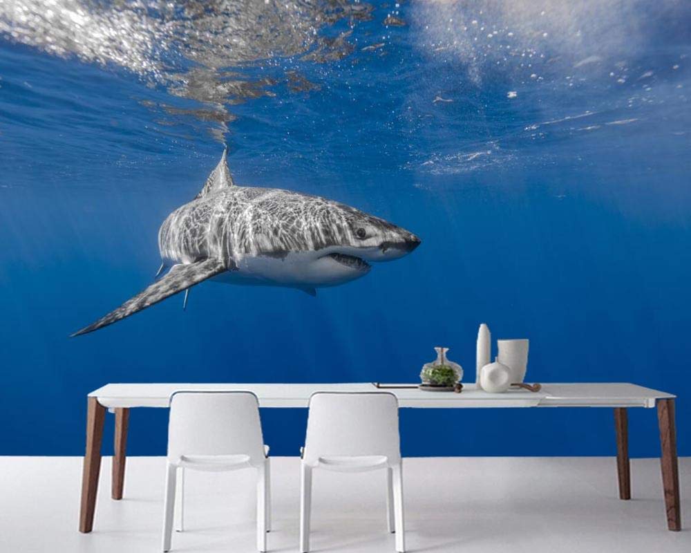 Water Shark Wallpaper It Brings Me So Much Joy": Watch This Gorgeous