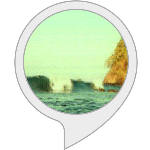 Amazon.com: Surf Check : Alexa Skills