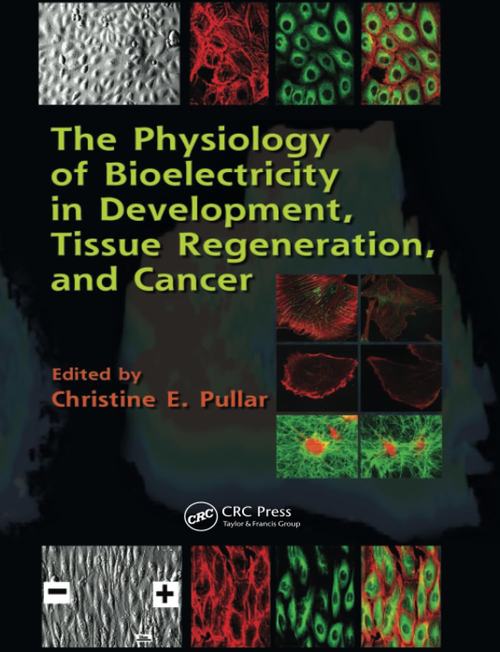 Buy The Physiology of Bioelectricity in Development, Tissue ...