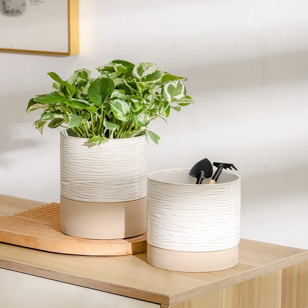 Underground Self Watering Pottery Amazon.com: GU GREENERY : UNLIMITED
