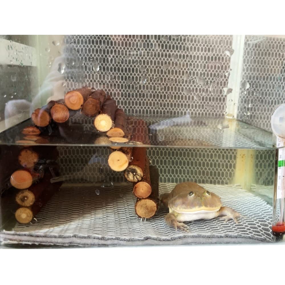 Snapklik.com : Flushbay Reptile Habitat Decor Hideouts Basking Platform ...