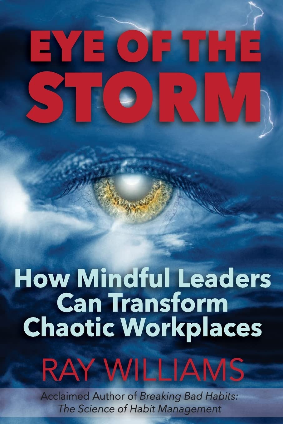 Eye Of The Storm: How Mindful Leaders Can Transform Chaotic Workplaces ...
