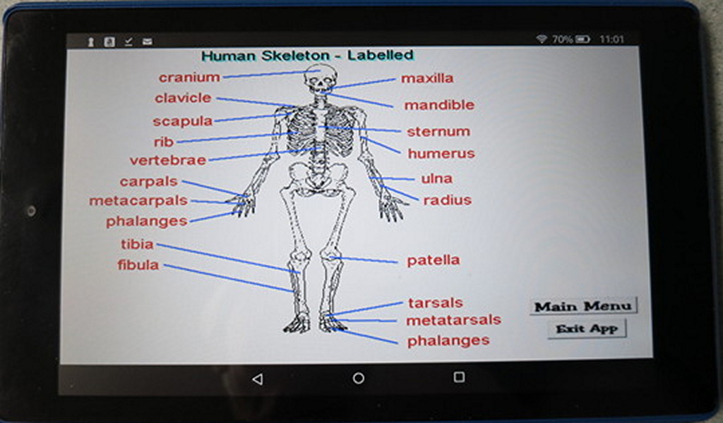 Label that Diagram - Skeleton - App on Amazon Appstore
