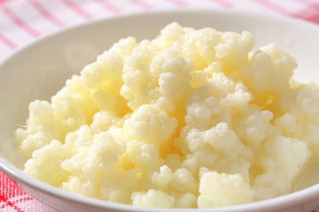 Russian Milk Kefir Grains (15 Grams) | Free Large Strainer | Life Time ...