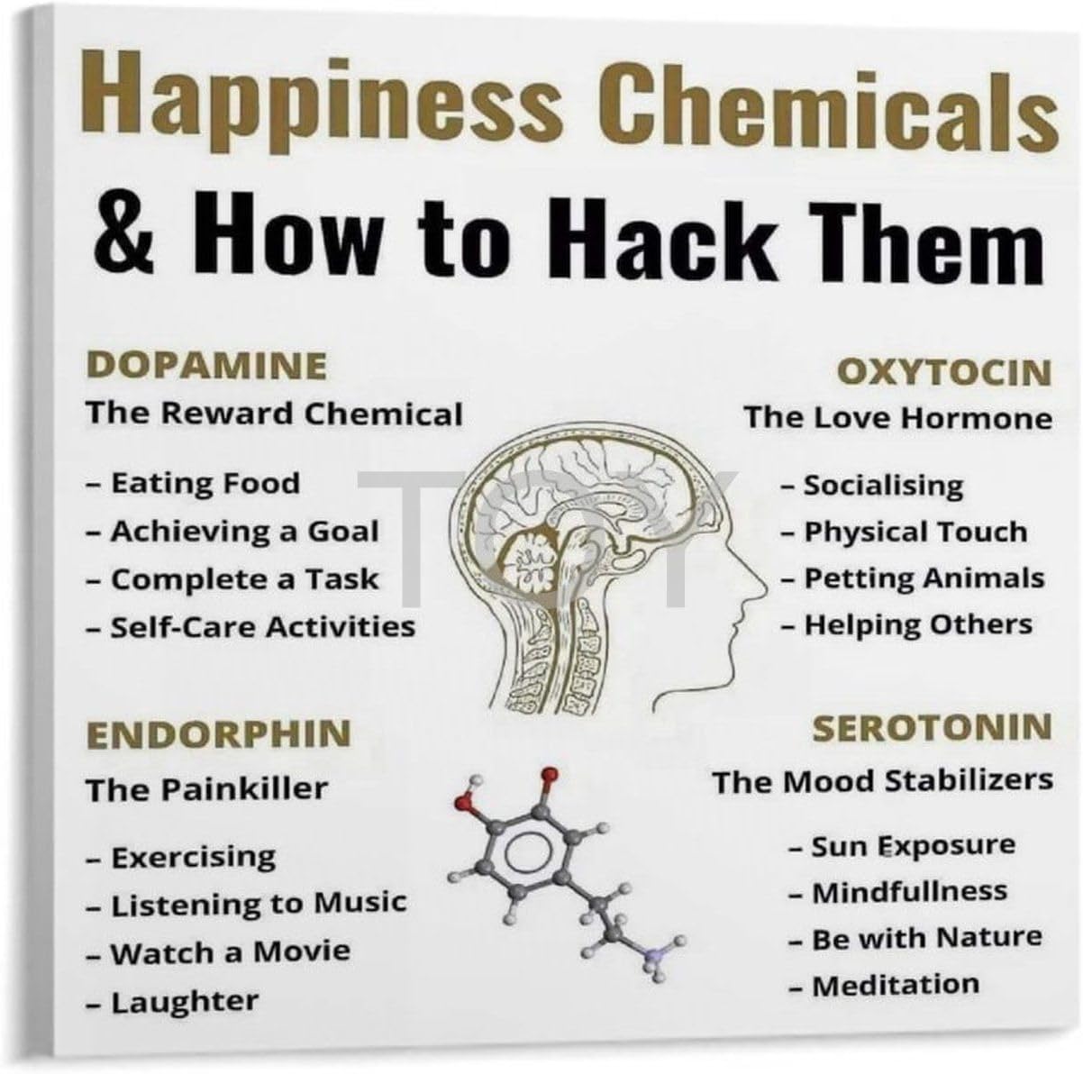 Amazon.com: TOYOCC Happy Chemicals And How to Hack Them Poster Canvas ...