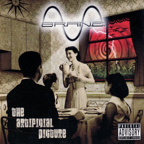 Amazon.com: The Artificial Picture : Brane: Digital Music
