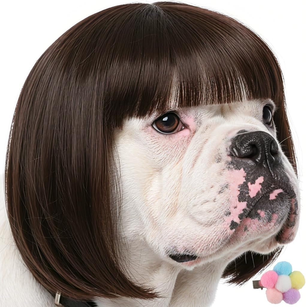 Amazon.com : Drasawee Long Synthetic Female Pet Wigs Dog Cat Hair ...