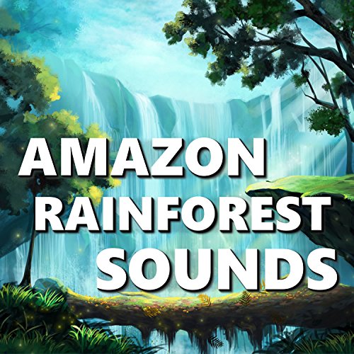 Spiele Amazon Rainforest Sounds von Rainforest Sounds auf Amazon Music ab