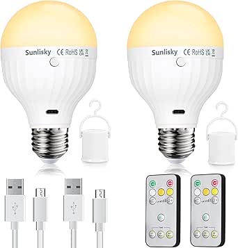 2 PACK USB Rechargeable Light Bulb with Remote Control, 7W E27 Battery ...
