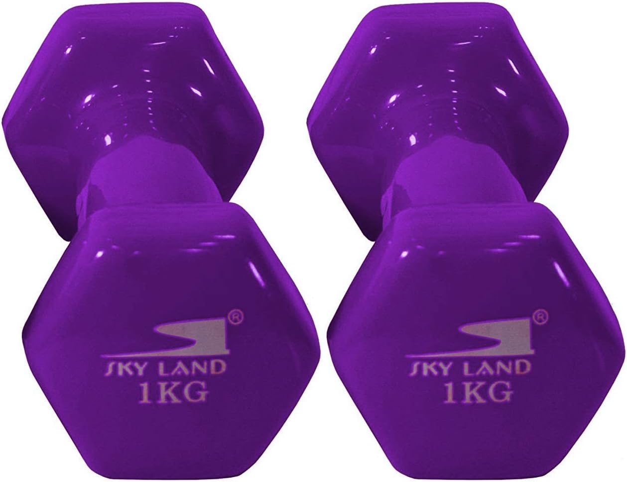SKY LAND Classical Dumbbells Hand Weights Set of 2 - Vinyl Coated ...