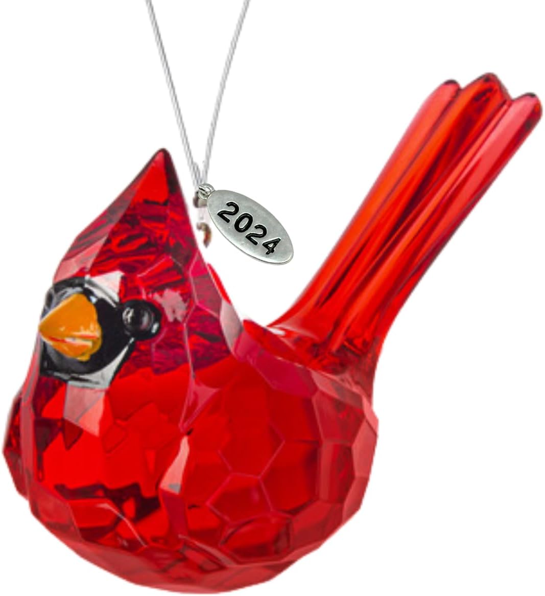 Amazon.com: Cardinal Memorial Gift, Red Bird Cardinal Ornament Gift ...