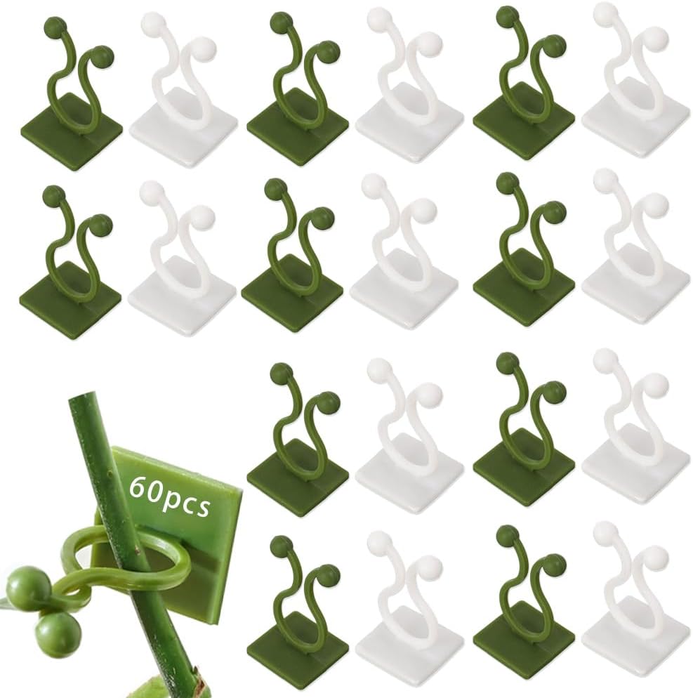 Amazon.com : Rukinovi 60Pcs Plant Clips for Climbing Plants,Plant Wall ...