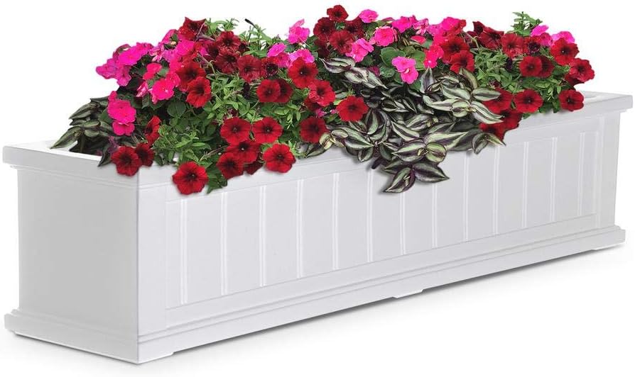 Amazon.com : Mayne Cape Cod Window Box 4FT White : Plant Window Boxes ...