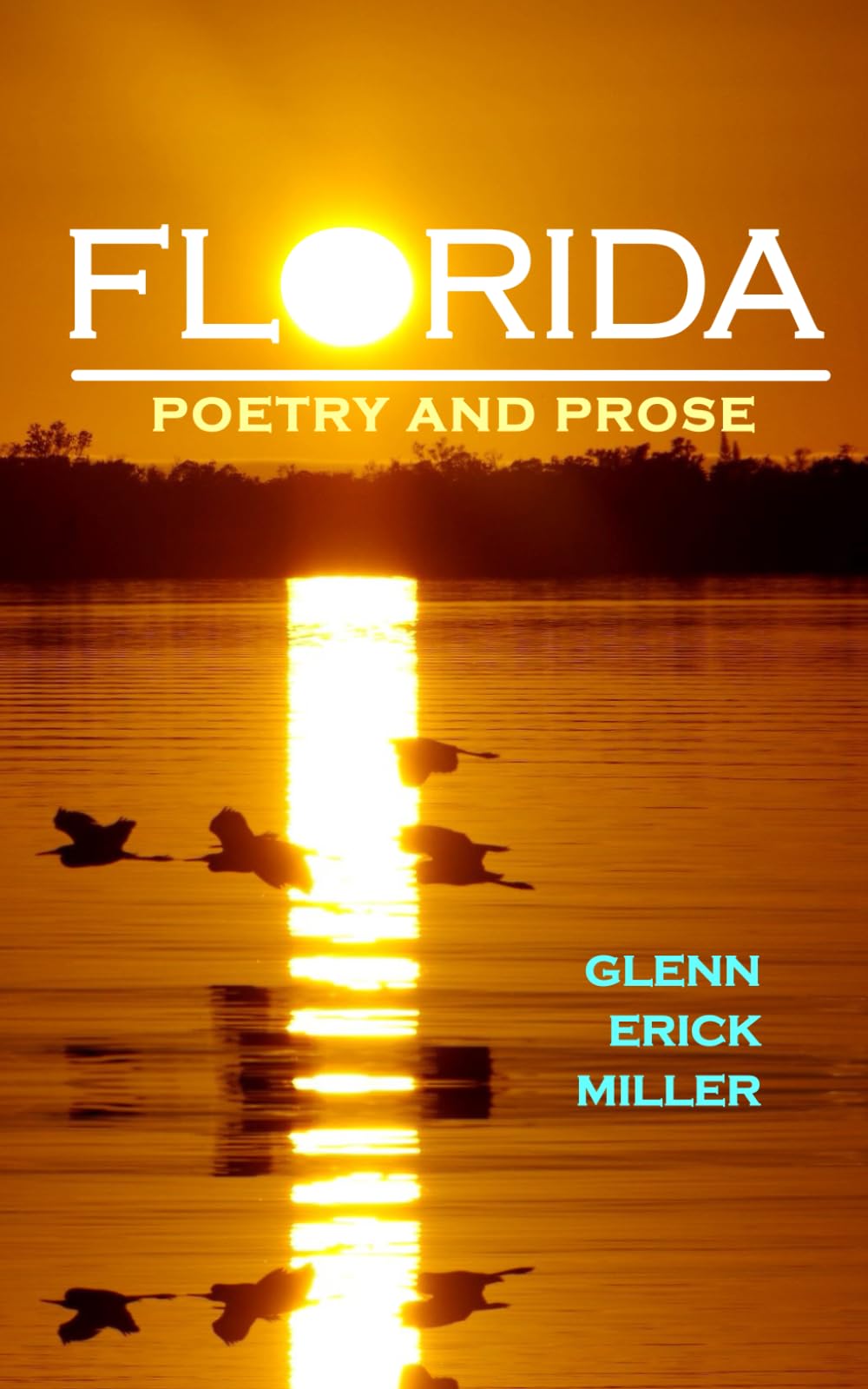 Book review of Florida - Readers' Favorite: Book Reviews and Award Contest