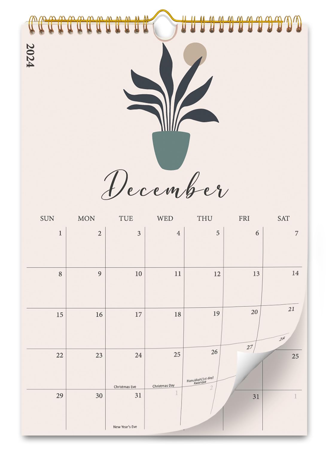 Amazon.com: Aesthetic 2024-2025 Wall Calendar - Runs From July 2024 to ...