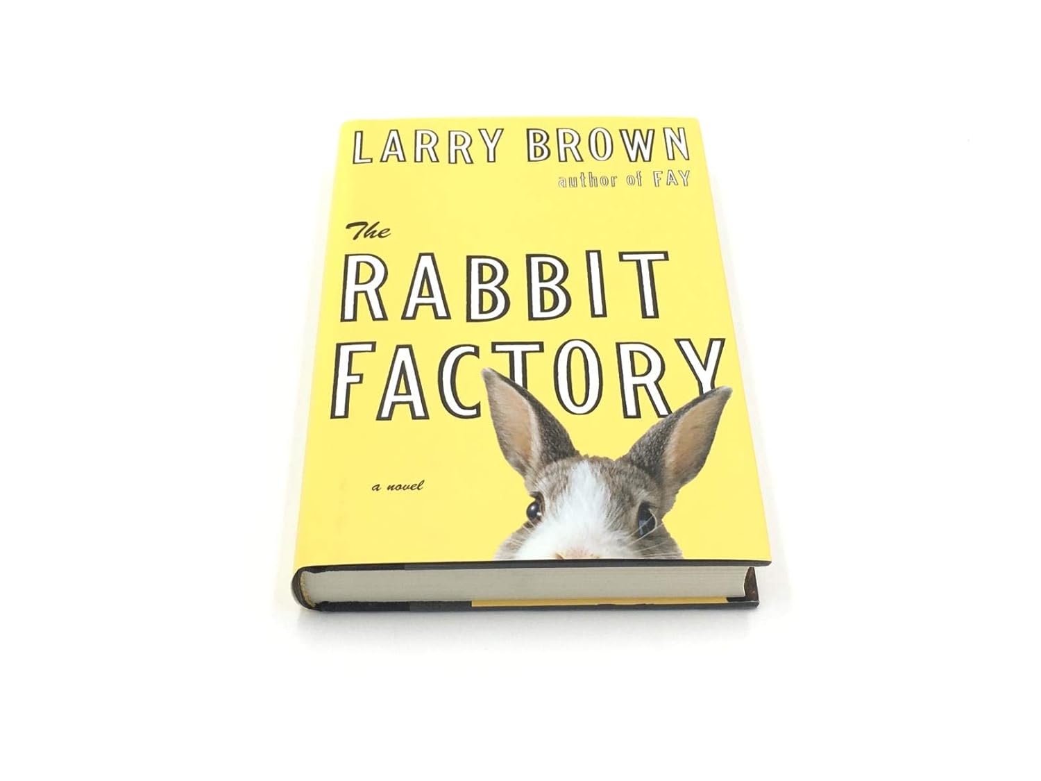 The Rabbit Factory: A Novel: Brown, Larry: 9780743245234: Amazon.com: Books