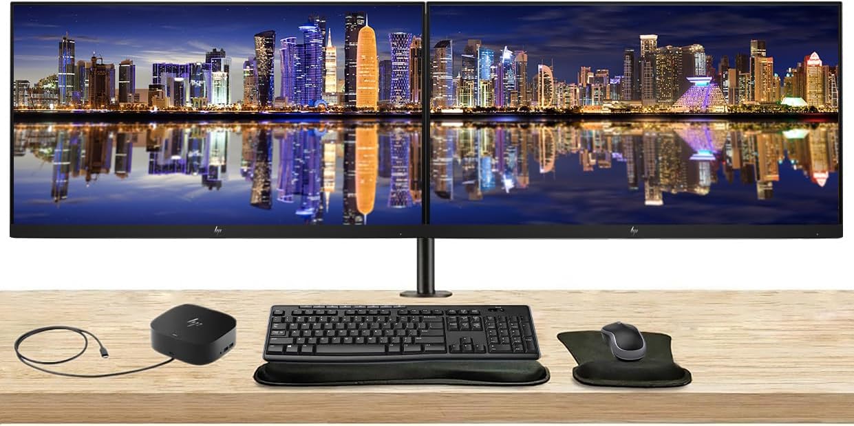 Amazon.com: HP EliteDisplay E24u G5 24 inch FHD LCD IPS Monitor, 2-Pack ...