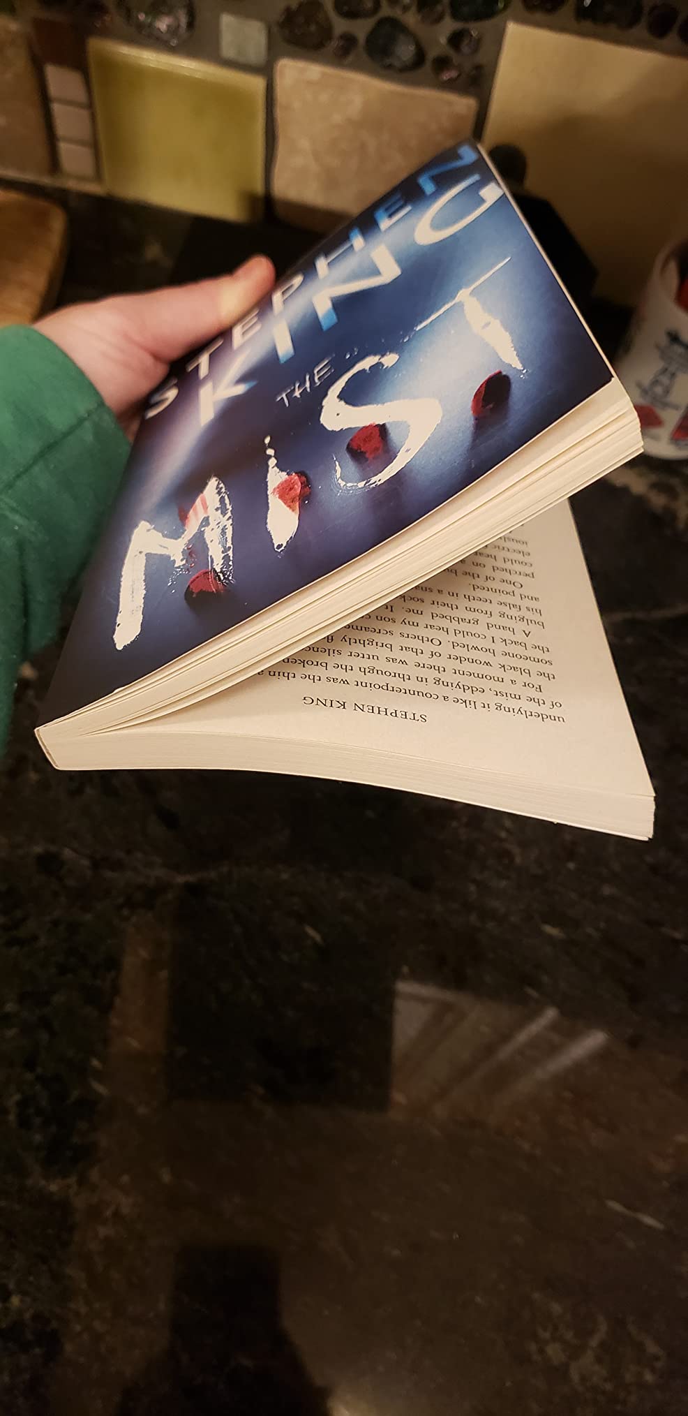 Amazon.com: The Mist: 9781982103521: King, Stephen: Books