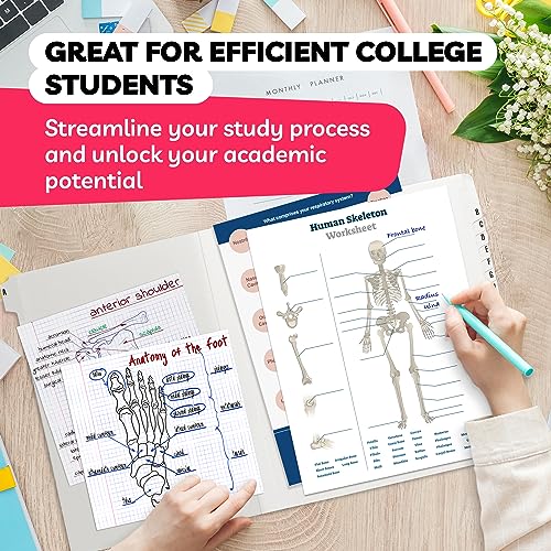 Snapklik.com : Alphabetical File Organizer - File Sorter - Alphabetical ...