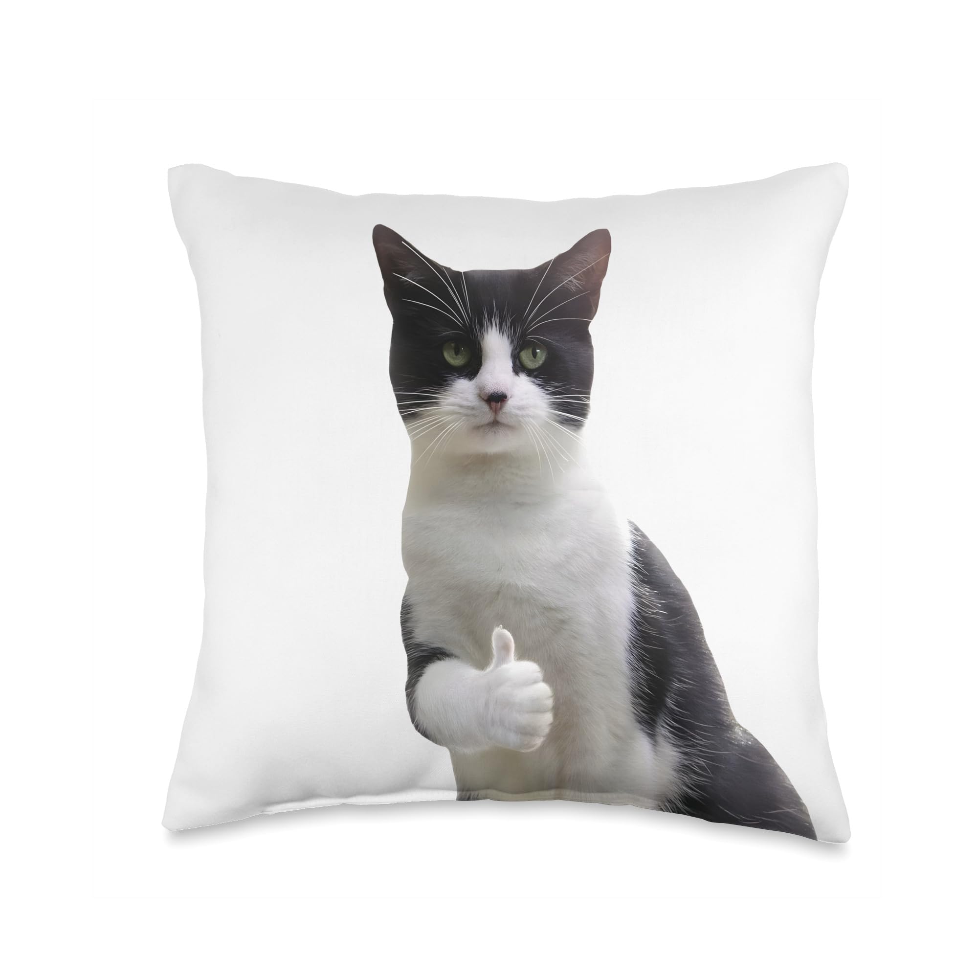 Protection Cat Memes Cats Security Memes & GIFs Imgflip