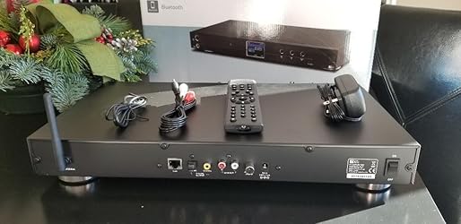 Amazon.com: Ocean Digital WiFi Internet Component Radio Tuner (430 mm ...