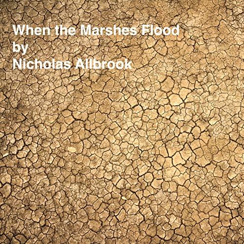 Play When the Marshes Flood by Nicholas Allbrook on Amazon Music