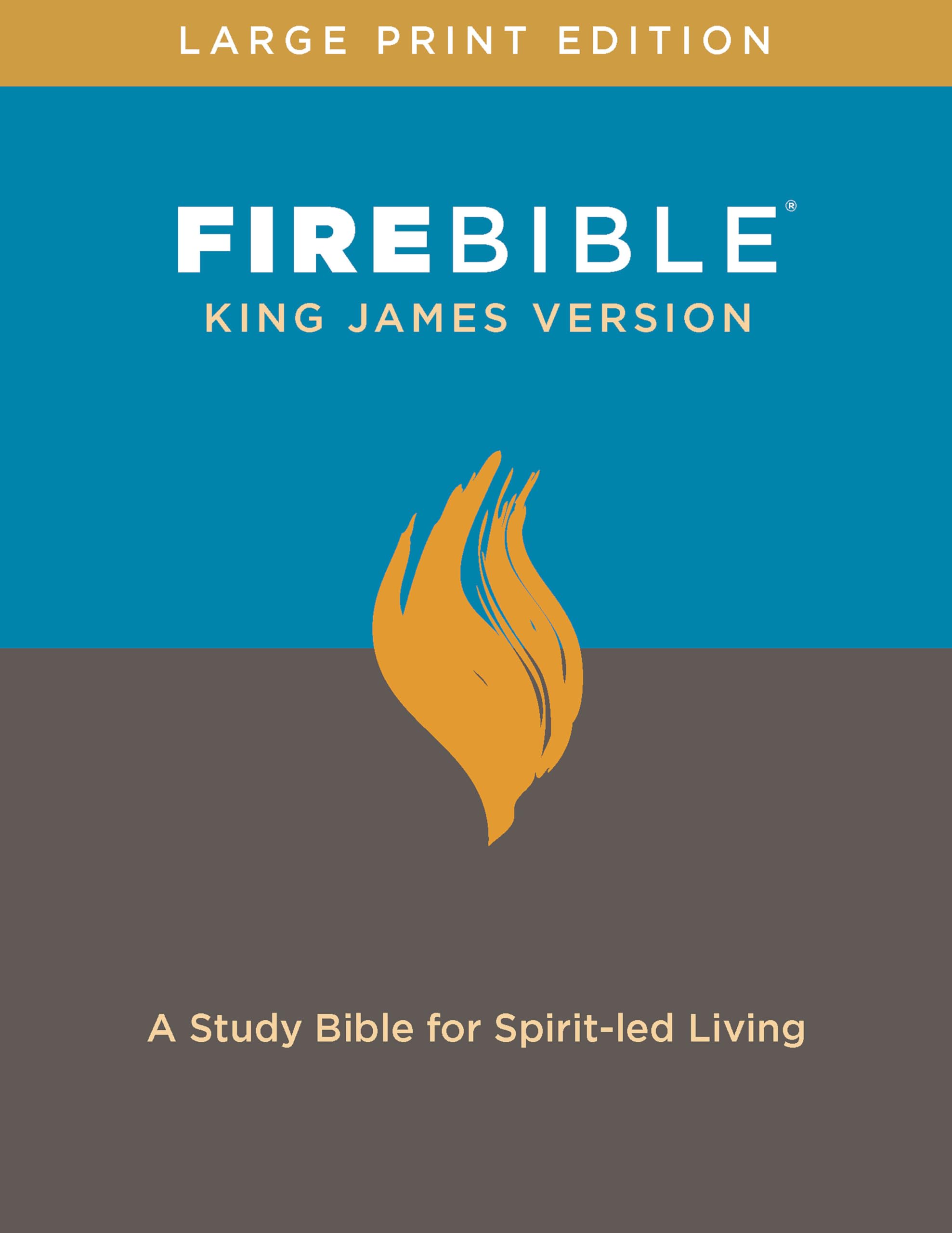 KJV Fire Bible, Large Print Edition (Hardcover, Red Letter): A Study ...