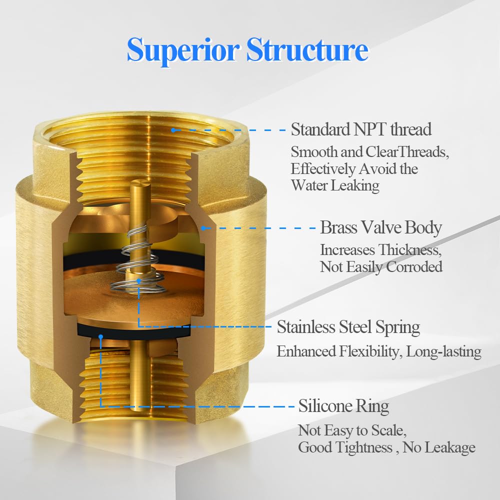 Snapklik.com : WiseWater Vertical Spring Check Valve, 1 NPT Thread ...