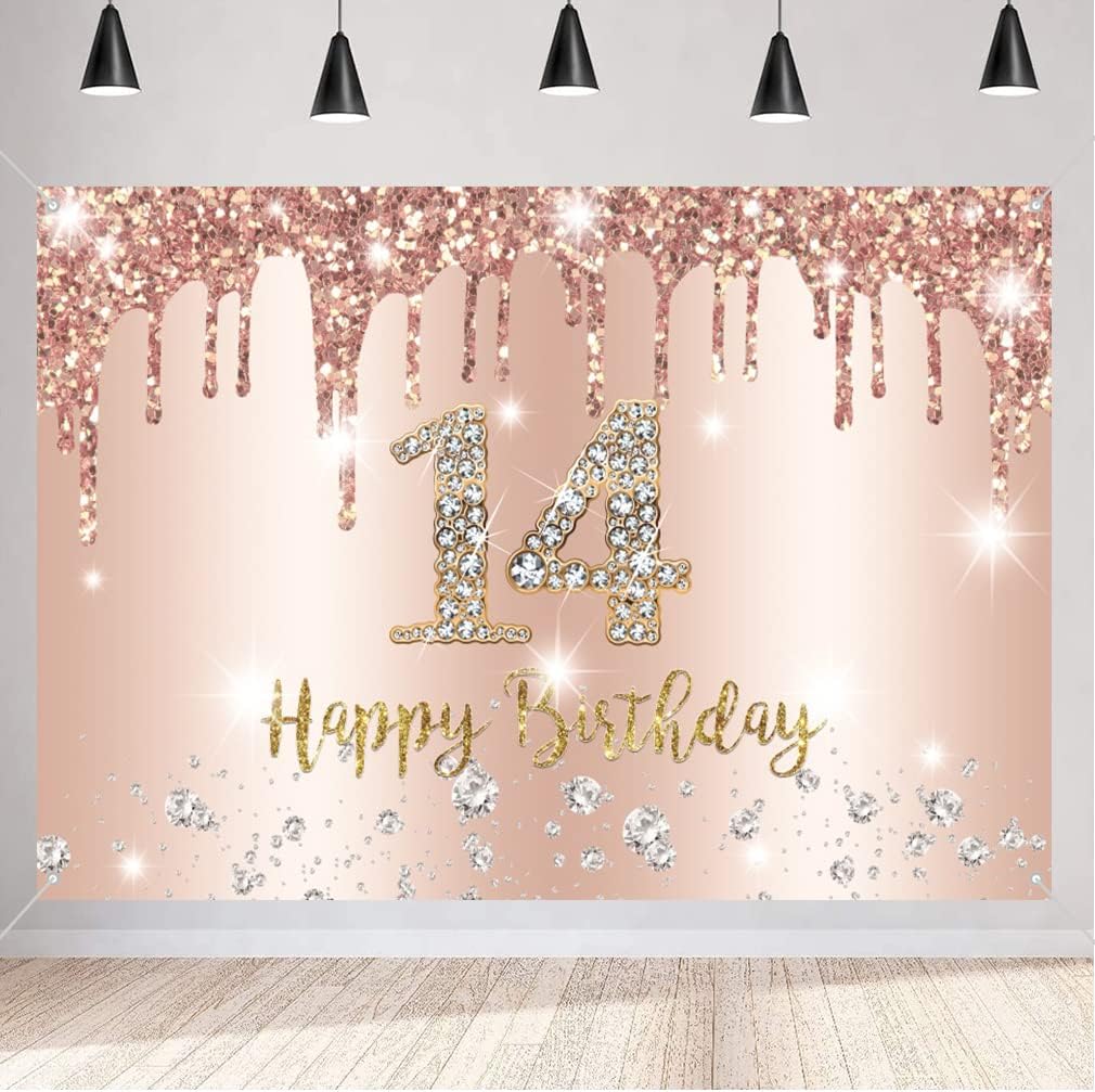 Happy 14th Birthday Decorations Backdrop Banner for Girls Happy 14 ...