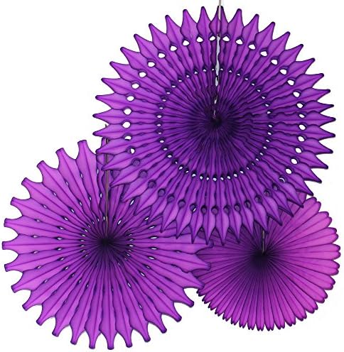 Amazon.com: Set of 3 Tissue Paper Fans, Turquoise (13-21 Inch) : Home ...